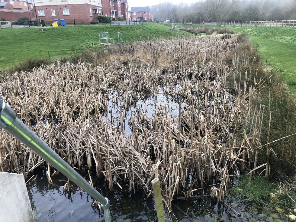 Home - Balancing Ponds