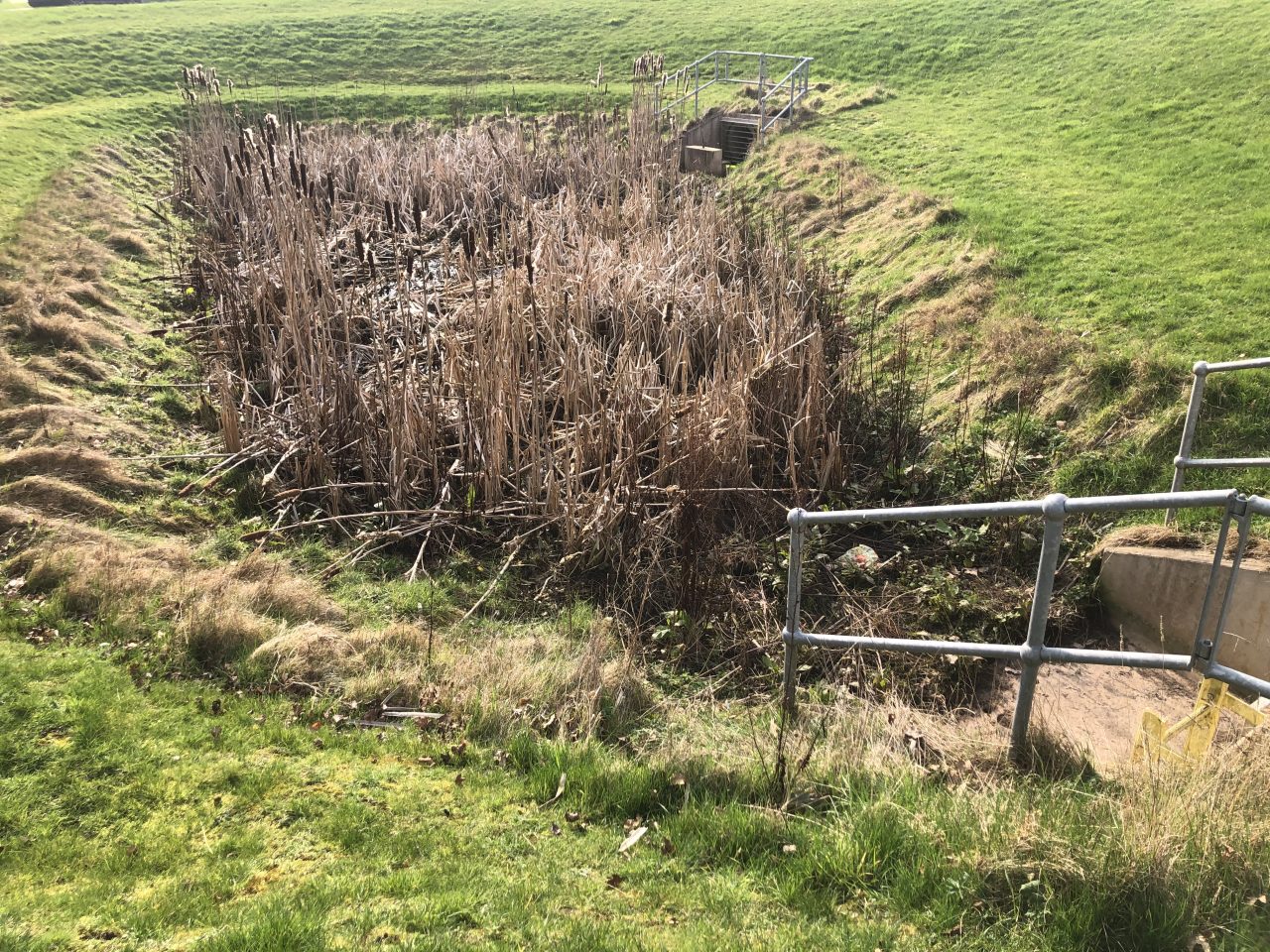 Home - Balancing Ponds